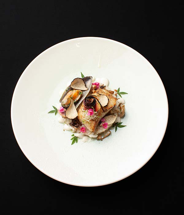 Explorar Koh Samui | Book Direct for Flexible Check in & out