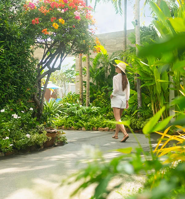 Offers - Explorar Hotels and Resorts