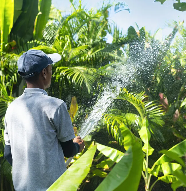 Sustainability - Explorar Hotels and Resorts